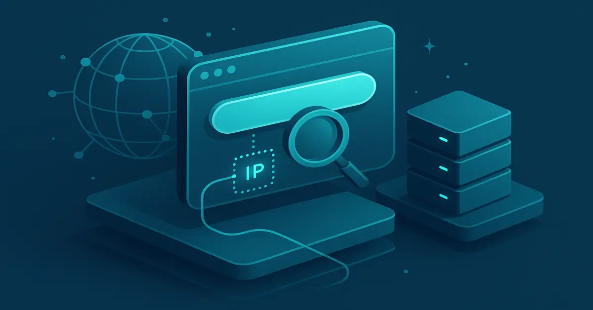 Domain IP Address - Check a Website's IP Address